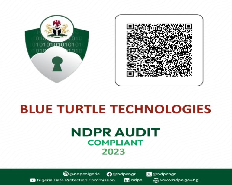 Blue Turtle Nigeria – IT Services in Nigera