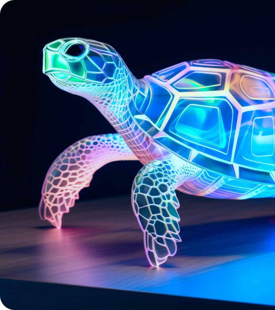 Blue Turtle Nigeria – IT Services in Nigera